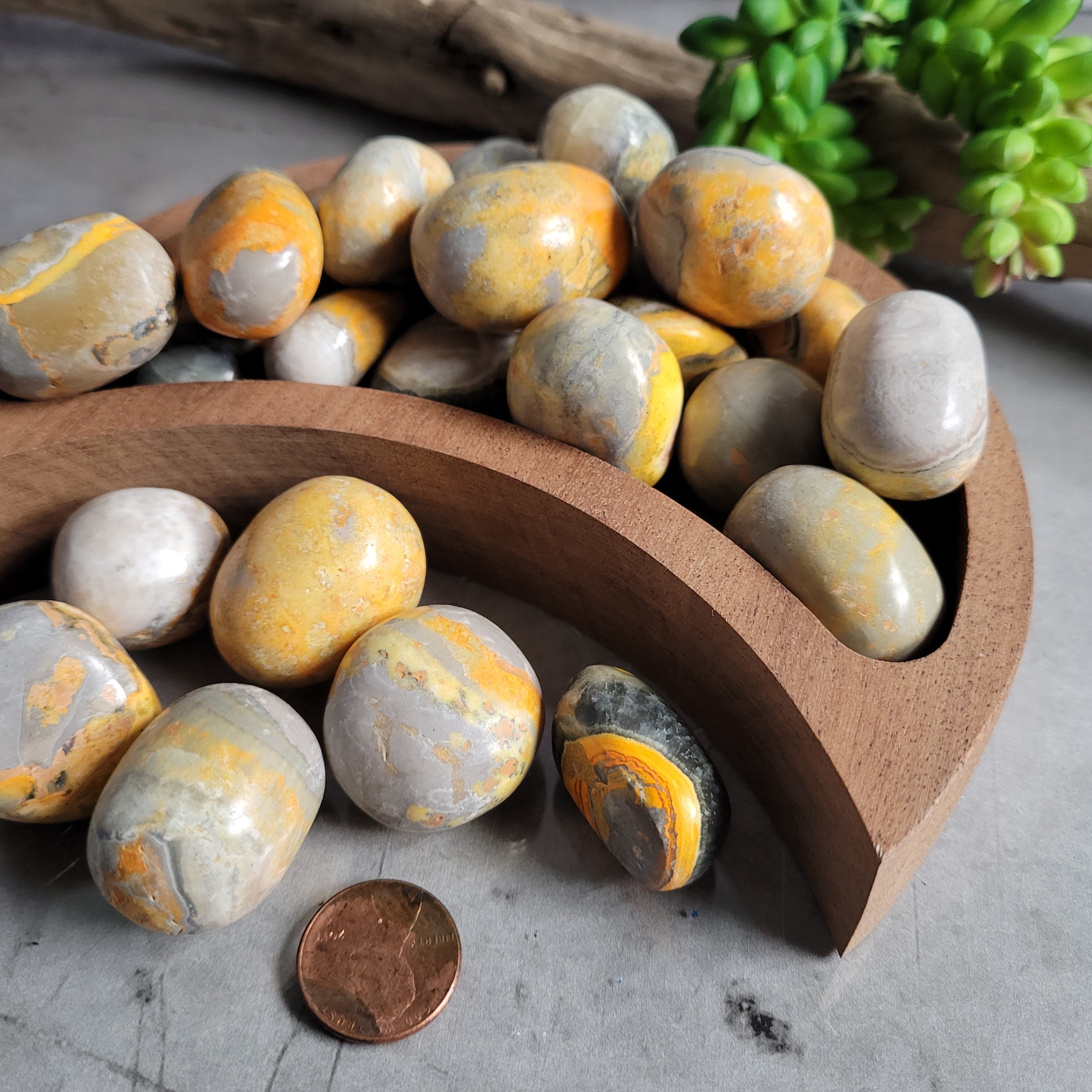 TUMBLED- Jasper, Bumblebee | Moonstone Circle